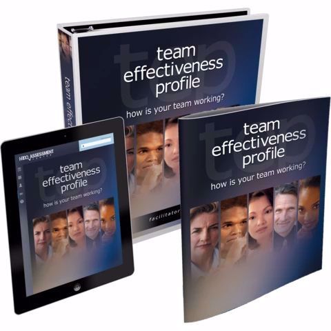 Team Effectiveness Profile| Management Learning Resource