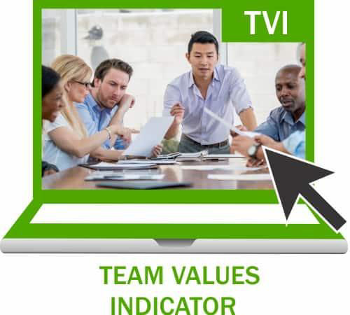 Team Values Indicator Up to 10 Team Members| Management Learning Resource