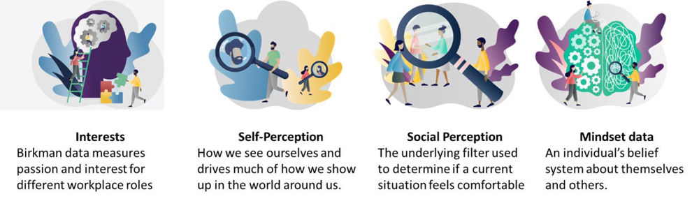 Birkman| Management Learning Resource